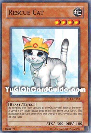 YuGiOh Rescue Cat