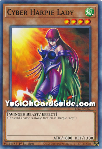 YuGiOh Cyber Harpie Lady