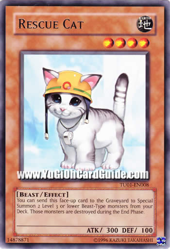 YuGiOh Rescue Cat