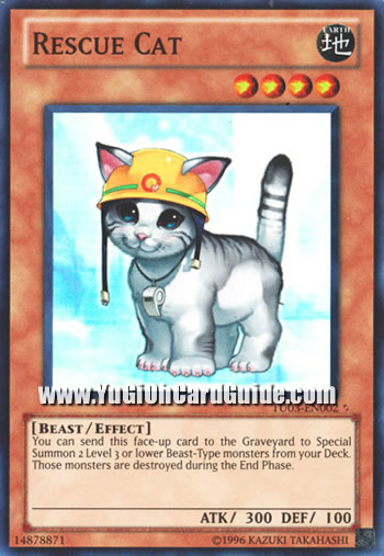 YuGiOh Rescue Cat